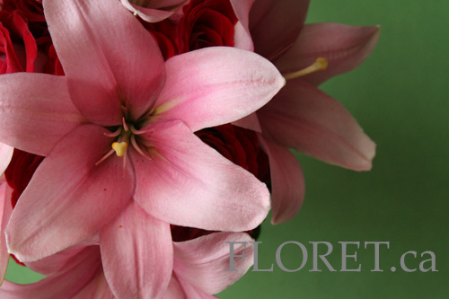 Lavish Lilies - Floret Wedding Flowers & Decor